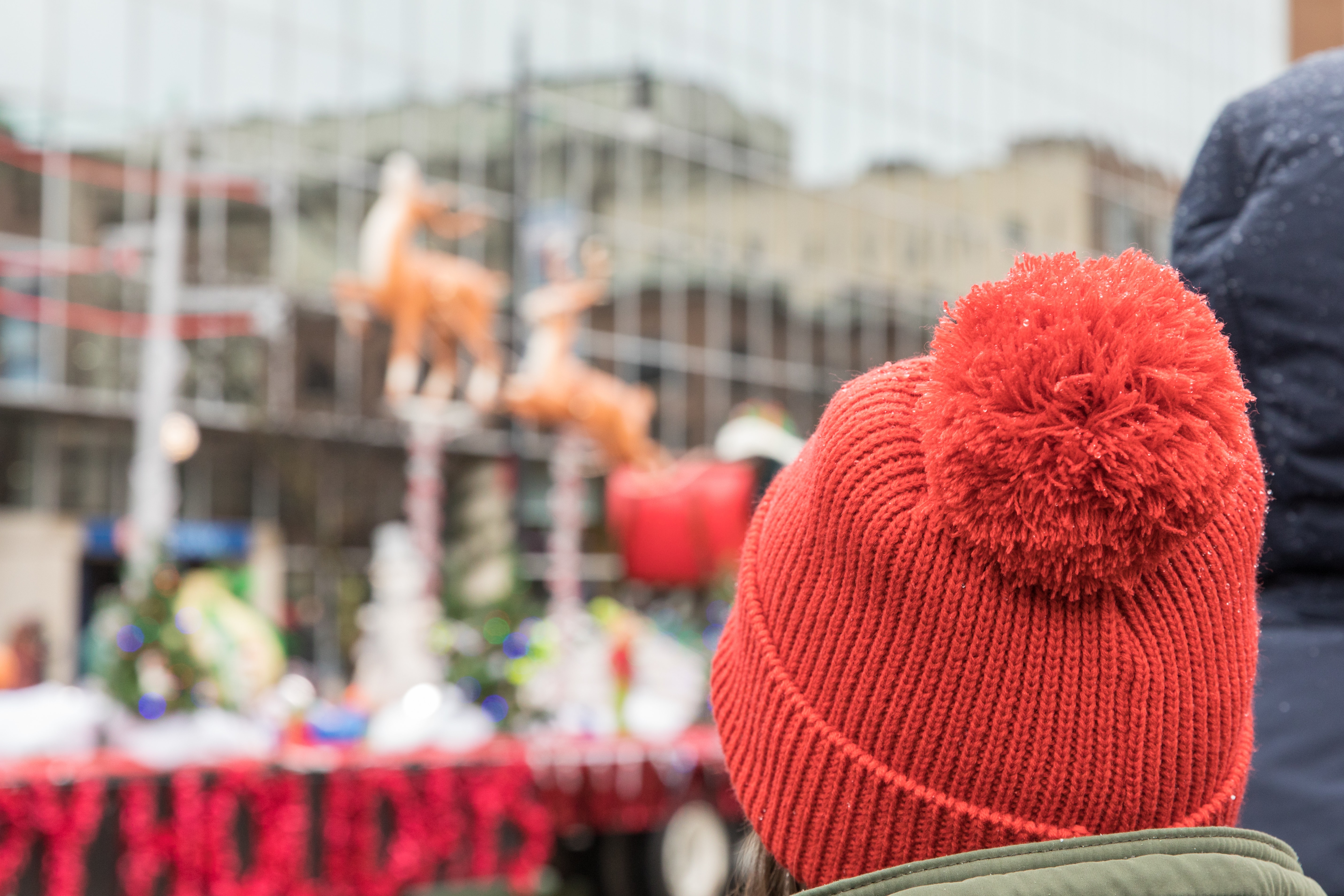 Bring Your Family To See The Encinitas Holiday Parade! | Encinitas, CA